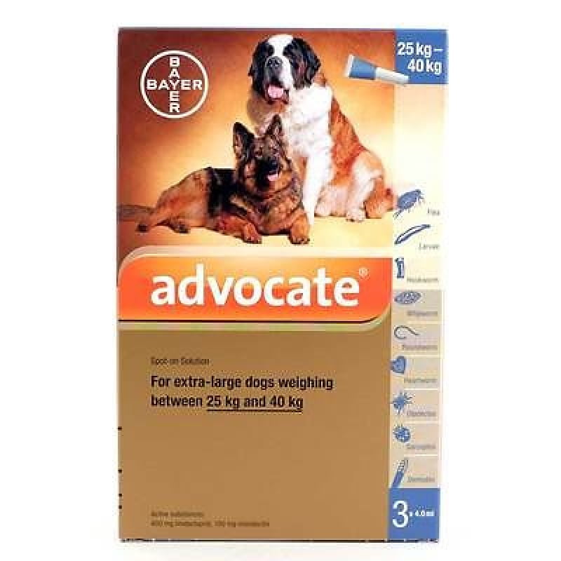 Advocate Ticks and Flea ampules – ايجي بابي لمستلزمات القطط والكلاب