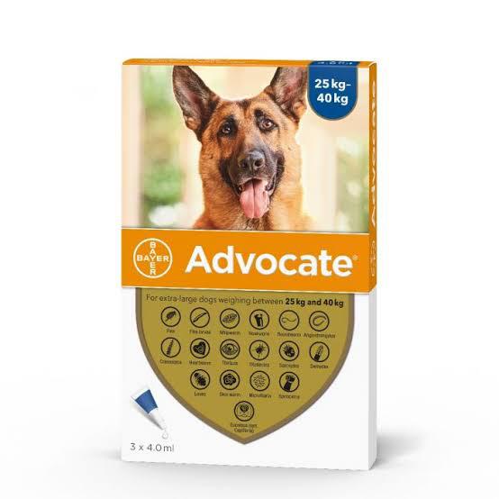 Advocate Ticks and Flea ampules – ايجي بابي لمستلزمات القطط والكلاب