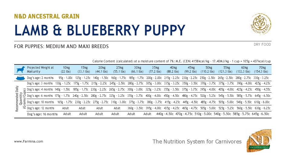 Farmina Puppy N&D Lamb & Blueberry for Medium & Maxi – EgyPuppy Pet ...