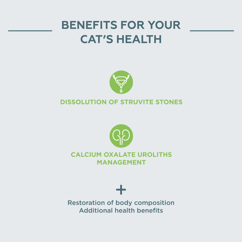 Virbac® Urinary Cat Dry Food Urology Dissolution & Prevention 1.5k ...
